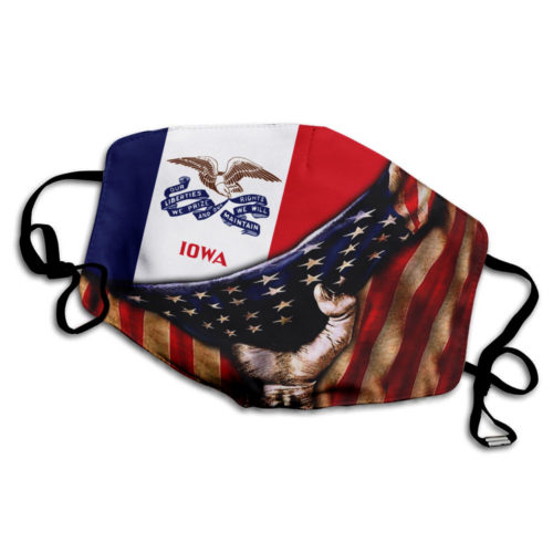 Iowa State PM2.5 Filter Face Mask | RobinPlaceFabrics | Reviews on Judge.me